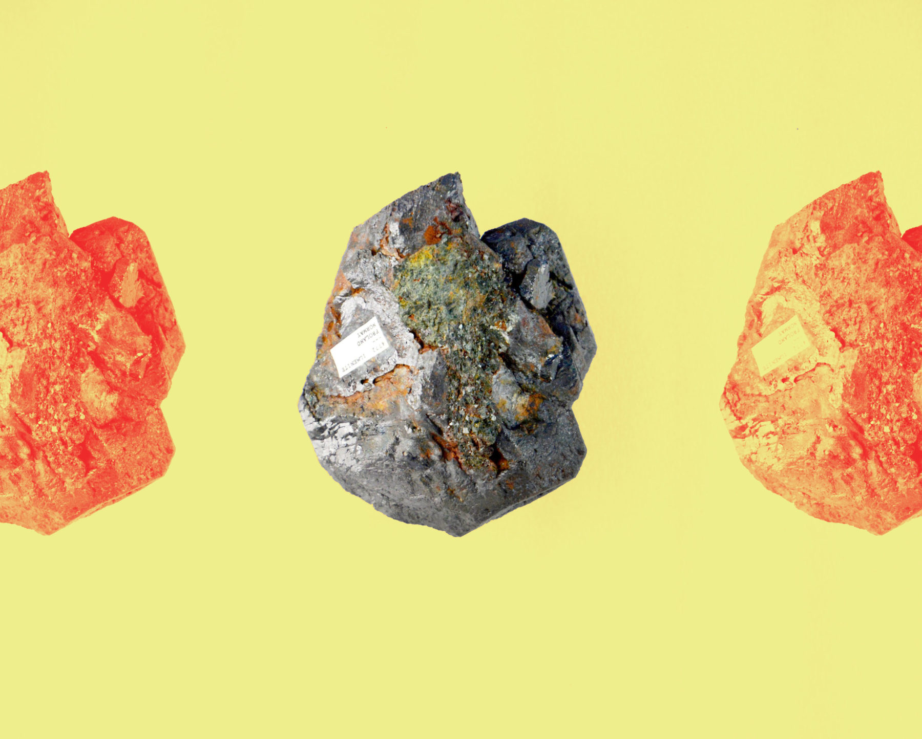 Yvonne Orengo – Passionist Life