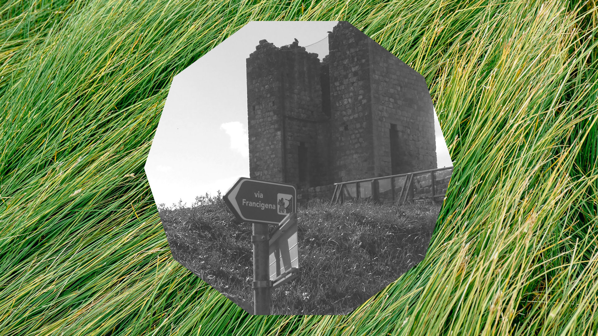 Walking an Ancient Path to the Future – Passionist Life